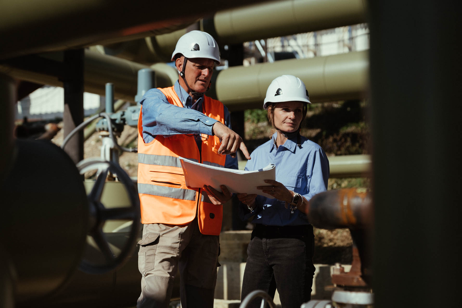 Inspection & Expediting | Progeco SE